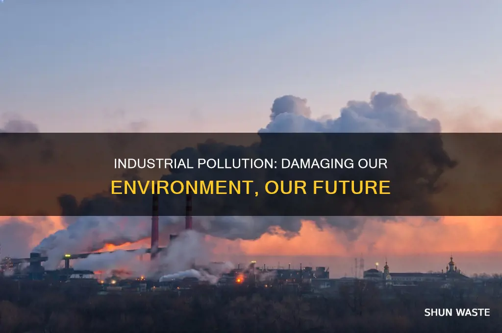 Industrial Pollution: Damaging Our Environment, Our Future | ShunWaste