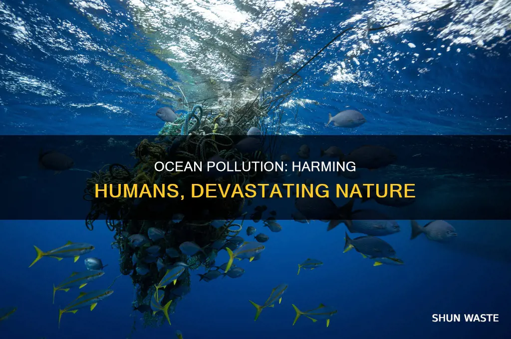 Ocean Pollution: Harming Humans, Devastating Nature | ShunWaste
