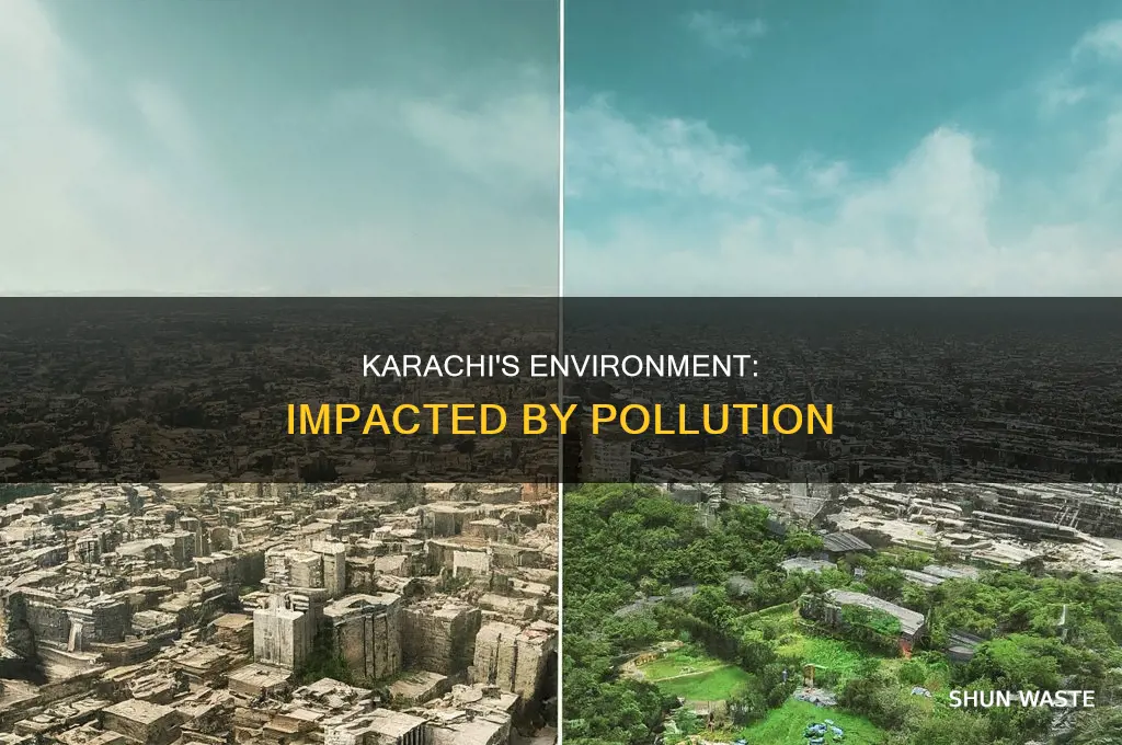 Karachi's Environment: Impacted By Pollution | ShunWaste
