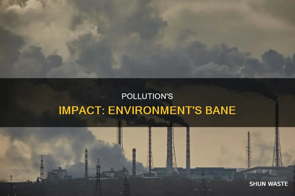 Pollution's Impact: Environment's Bane | ShunWaste