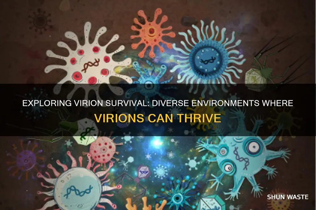 Exploring Virion Survival: Diverse Environments Where Virions Can ...