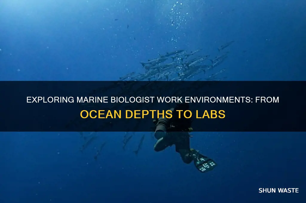 Exploring Marine Biologist Work Environments: From Ocean Depths To Labs ...