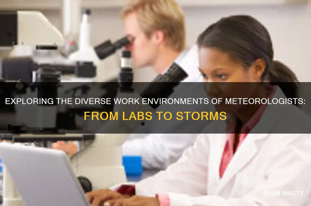 Exploring The Diverse Work Environments Of Meteorologists: From Labs To ...
