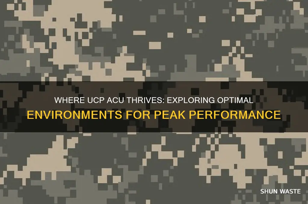 Where Ucp Acu Thrives: Exploring Optimal Environments For Peak ...