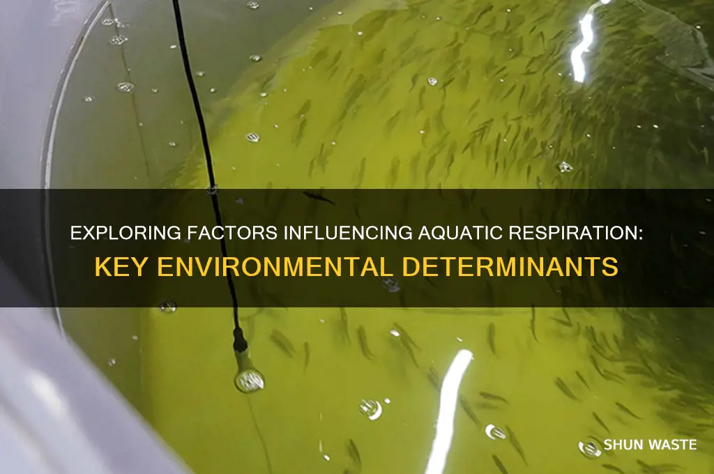 Exploring Factors Influencing Aquatic Respiration: Key Environmental ...