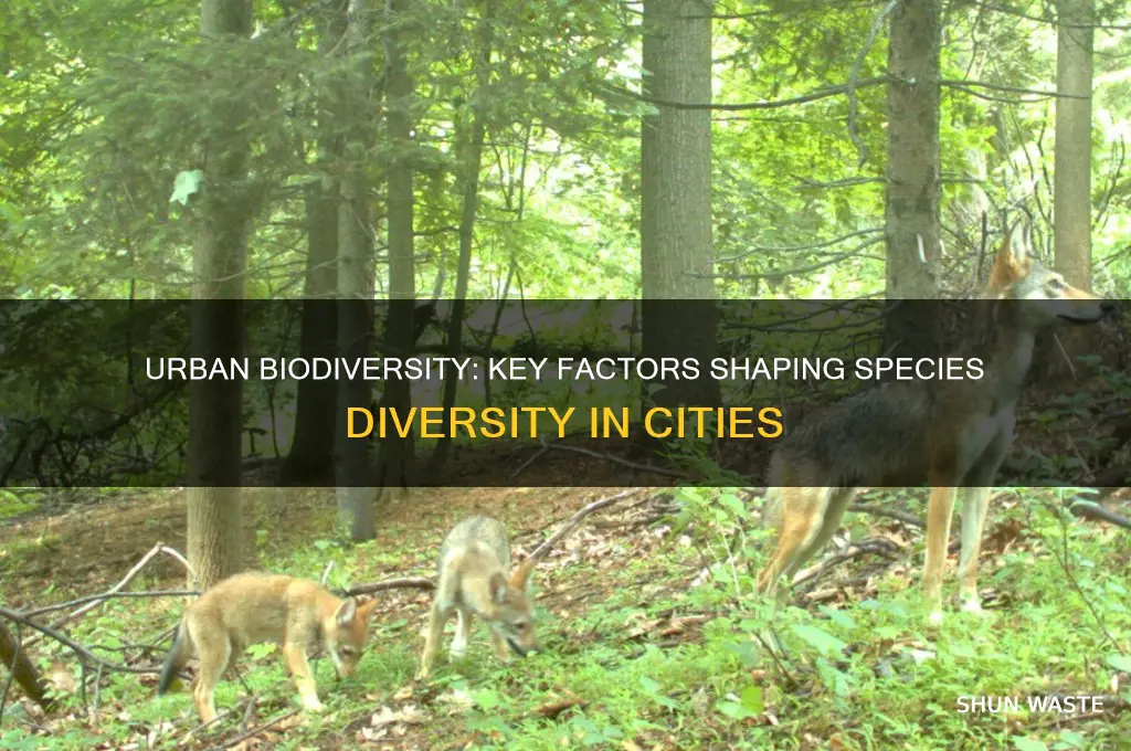 Urban Biodiversity: Key Factors Shaping Species Diversity In Cities ...