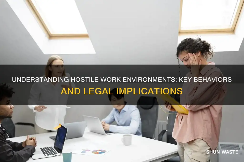Understanding Hostile Work Environments: Key Behaviors And Legal ...