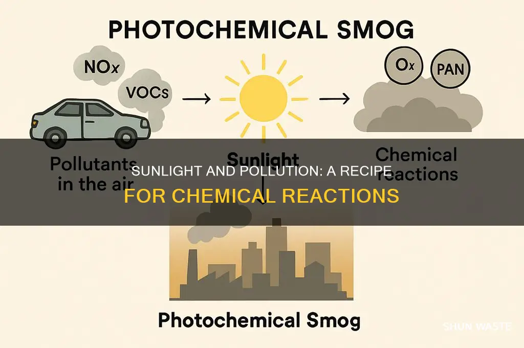 Sunlight And Pollution: A Recipe For Chemical Reactions | ShunWaste