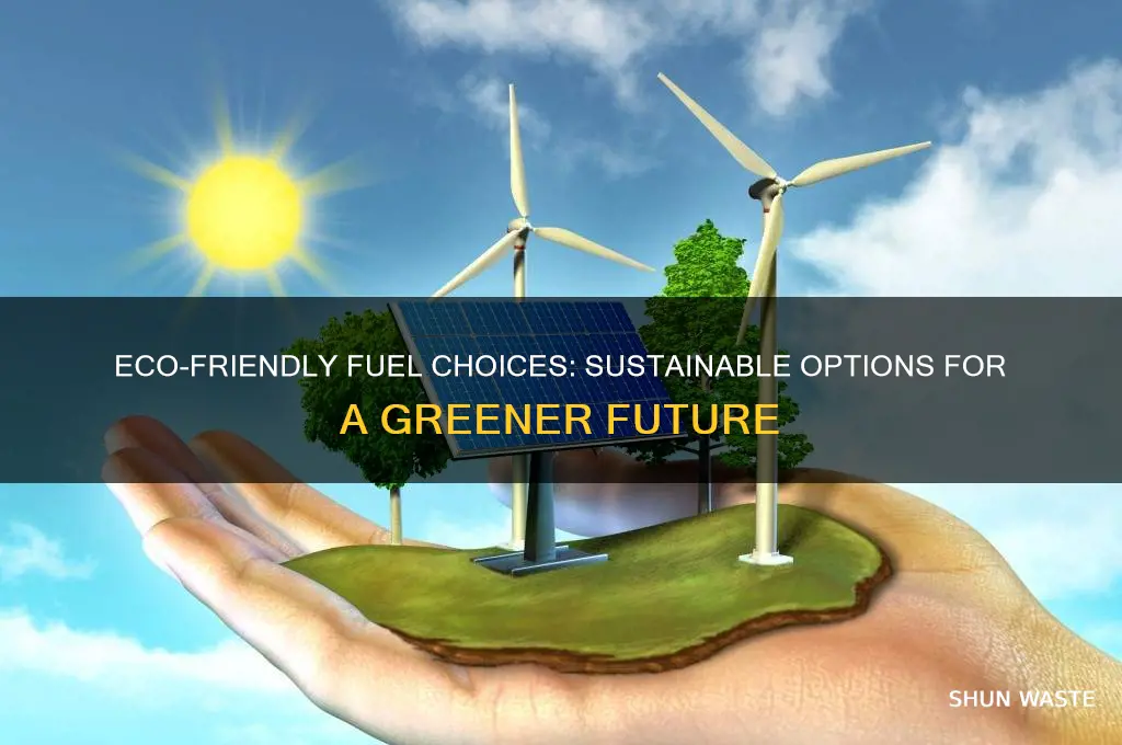 Eco-Friendly Fuel Choices: Sustainable Options For A Greener Future ...