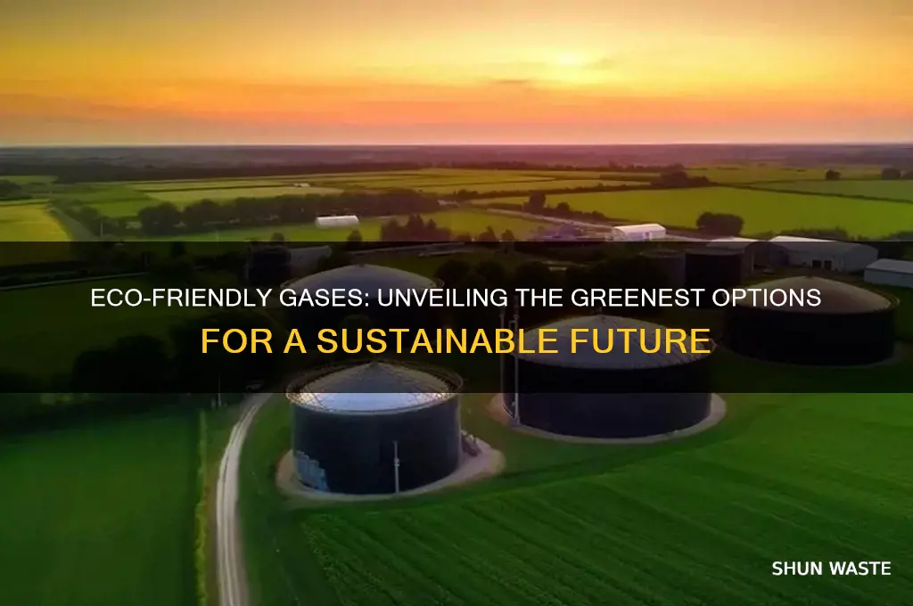 Eco-Friendly Gases: Unveiling The Greenest Options For A Sustainable ...