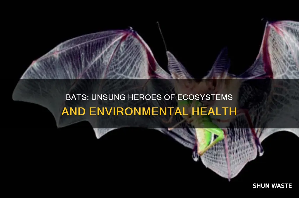 Bats: Unsung Heroes Of Ecosystems And Environmental Health | ShunWaste