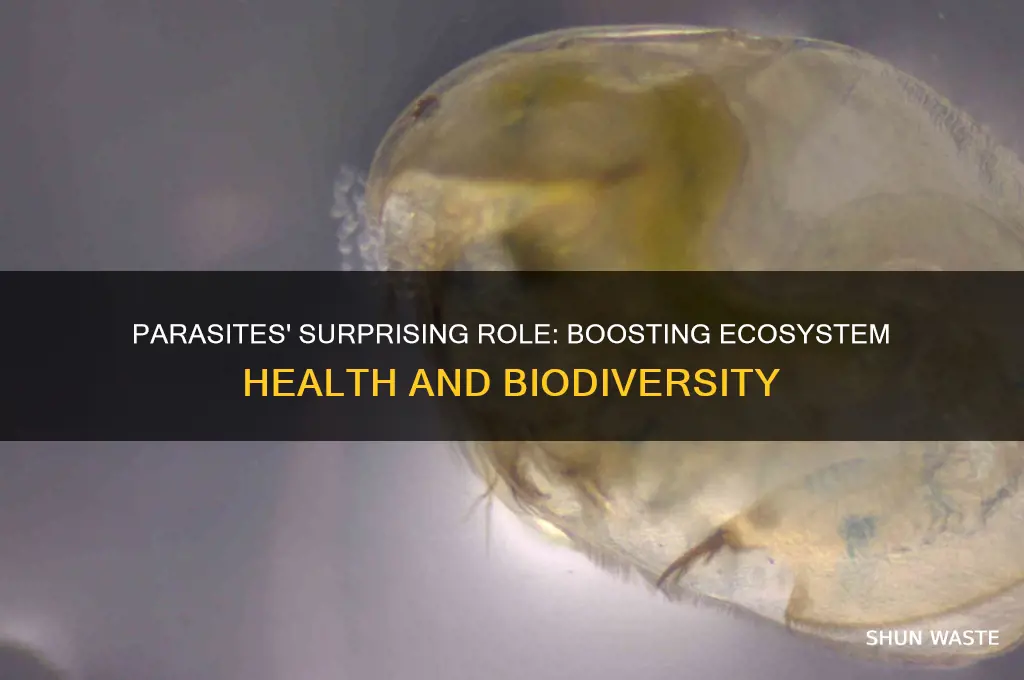 Parasites' Surprising Role: Boosting Ecosystem Health And Biodiversity ...