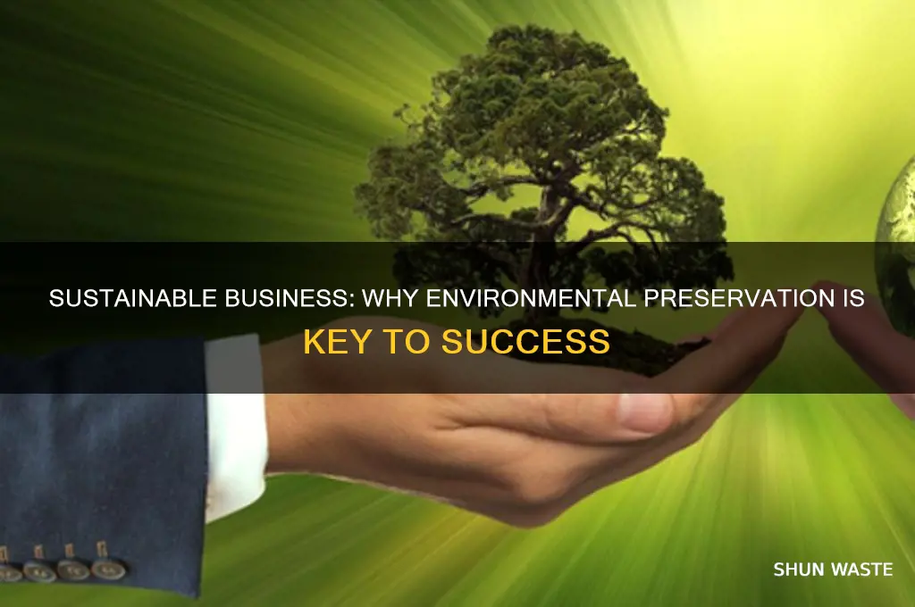 Sustainable Business: Why Environmental Preservation Is Key To Success ...