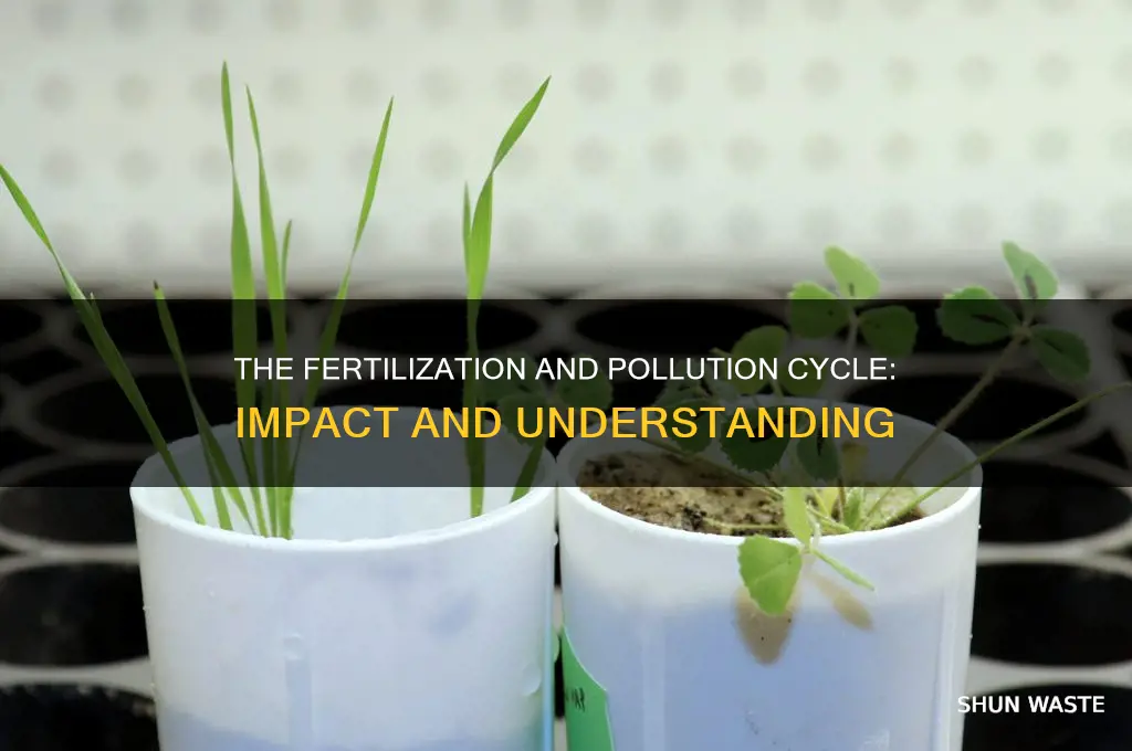 The Fertilization And Pollution Cycle: Impact And Understanding | ShunWaste