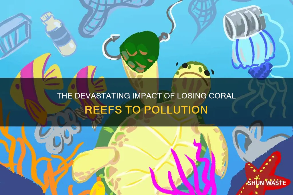 The Devastating Impact Of Losing Coral Reefs To Pollution | ShunWaste