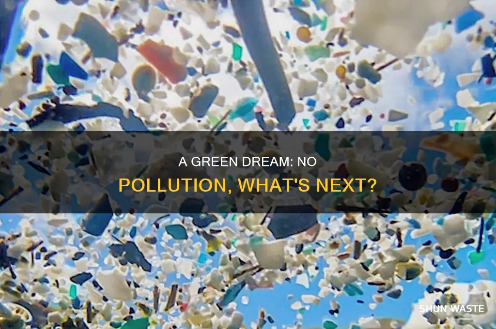A Green Dream: No Pollution, What's Next? | ShunWaste
