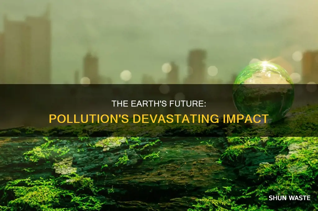 The Earth's Future: Pollution's Devastating Impact | ShunWaste