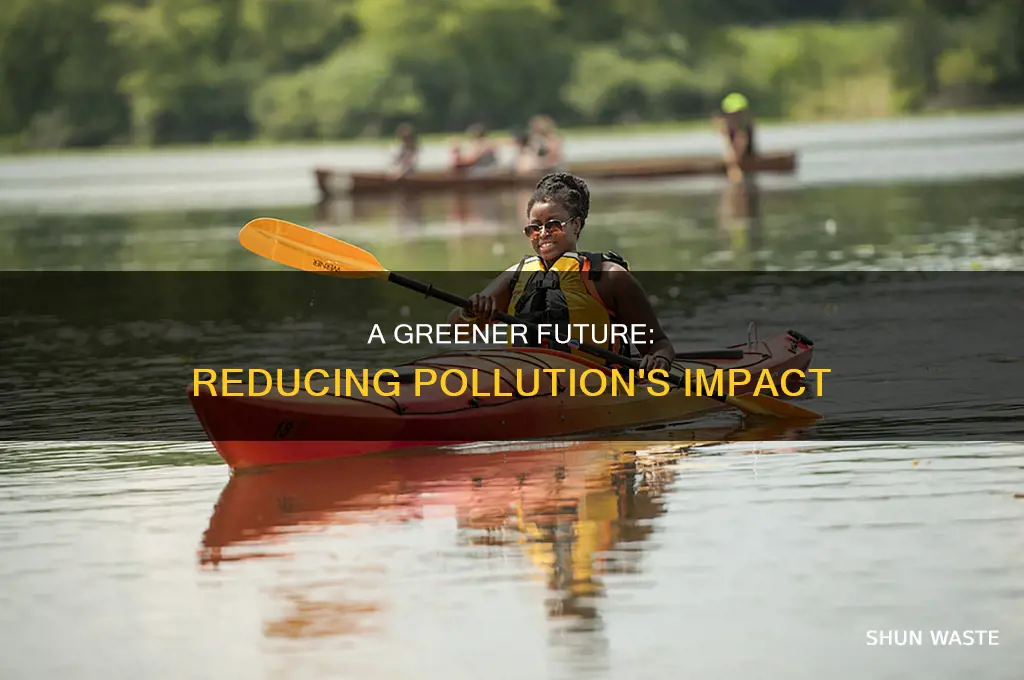 A Greener Future: Reducing Pollution's Impact | ShunWaste