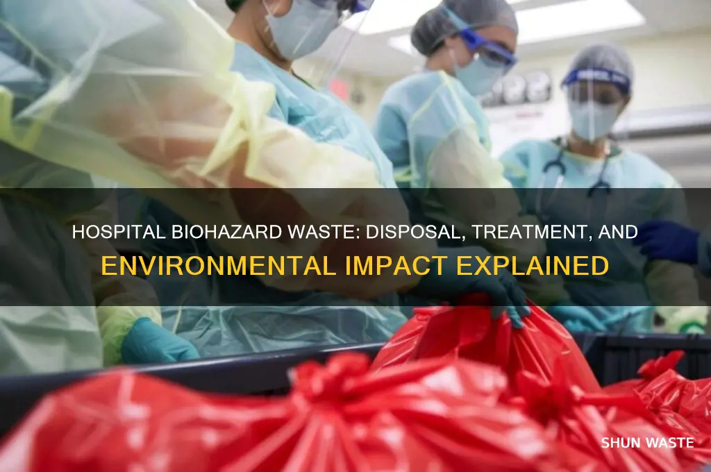 Hospital Biohazard Waste: Disposal, Treatment, And Environmental Impact ...