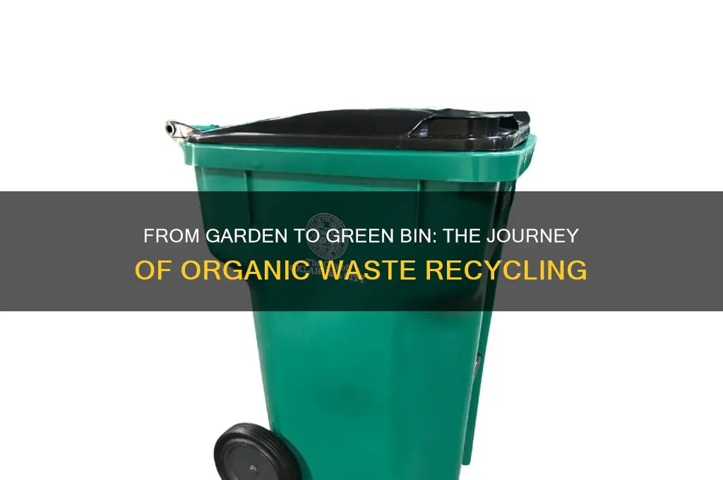 From Garden To Green Bin: The Journey Of Organic Waste Recycling ...