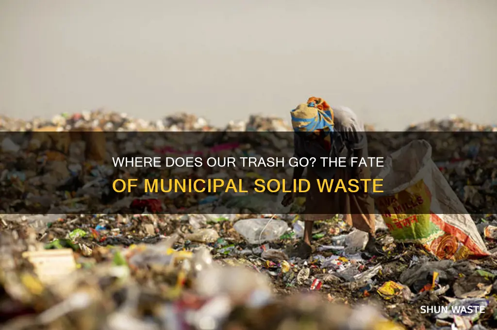 Where Does Our Trash Go? The Fate Of Municipal Solid Waste | ShunWaste