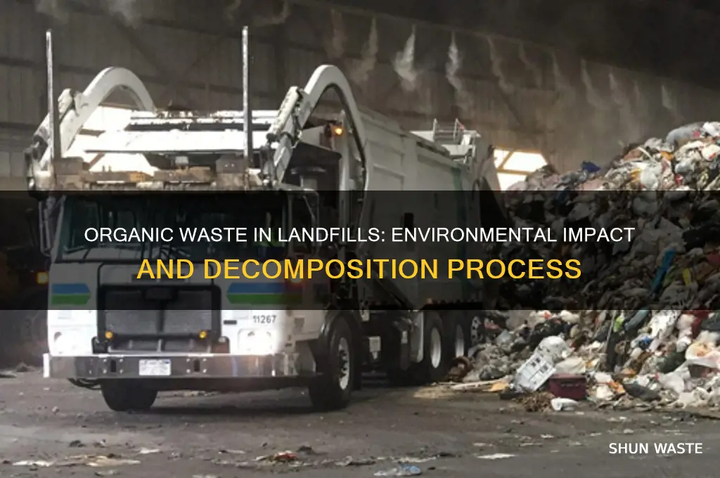 Organic Waste In Landfills: Environmental Impact And Decomposition ...