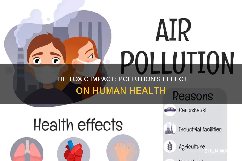The Toxic Impact: Pollution's Effect On Human Health | ShunWaste