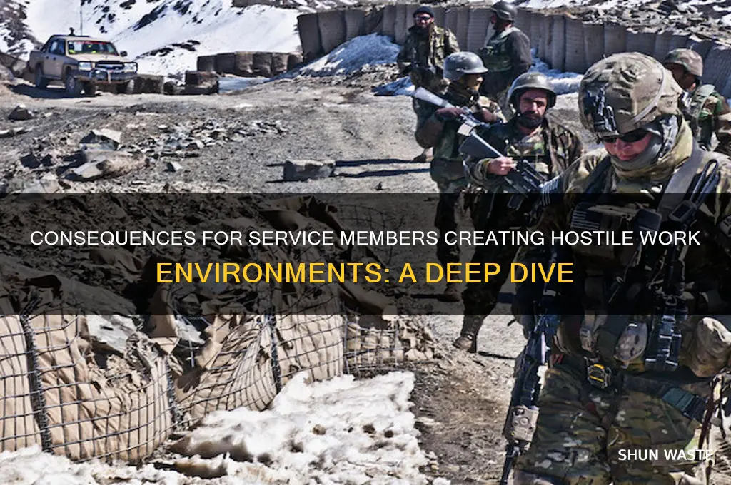 Consequences For Service Members Creating Hostile Work Environments: A ...
