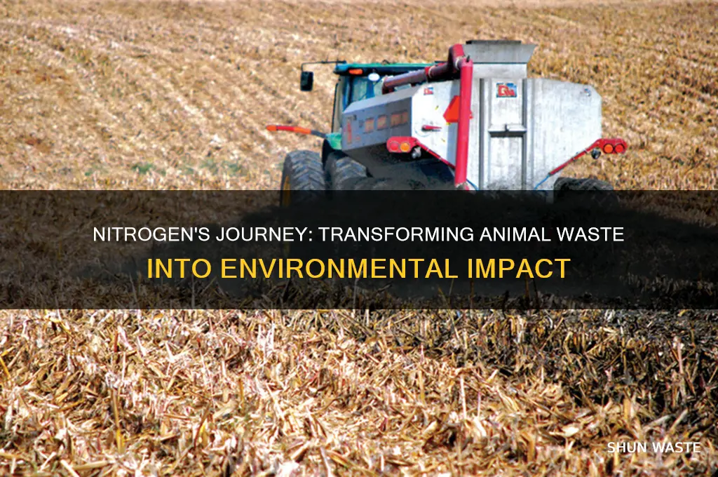 Nitrogen's Journey: Transforming Animal Waste Into Environmental Impact ...
