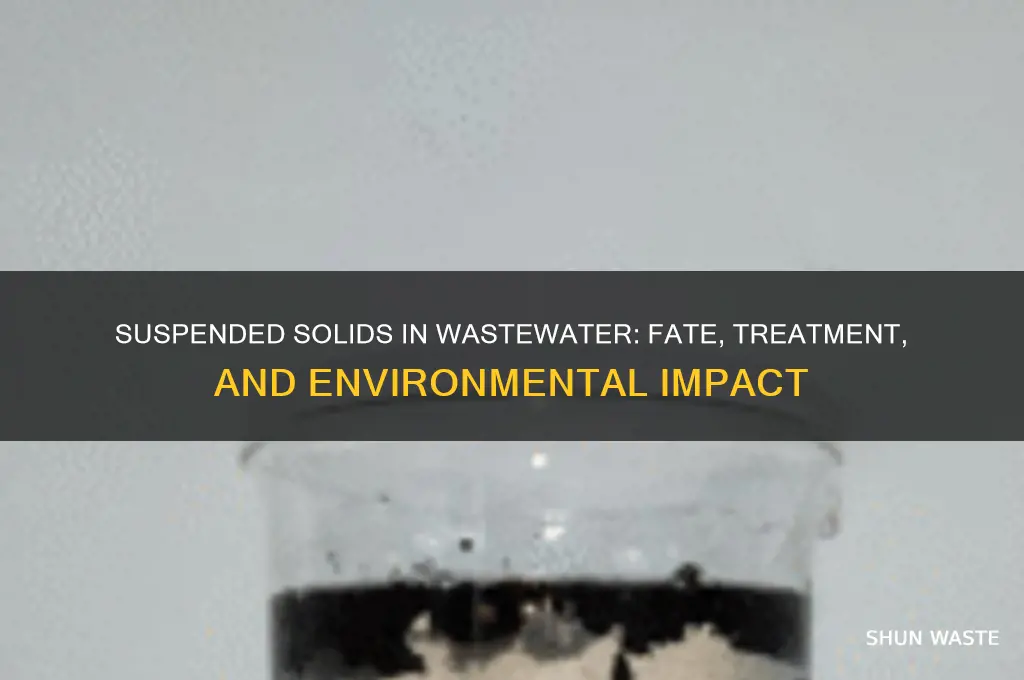 Suspended Solids In Wastewater: Fate, Treatment, And Environmental ...