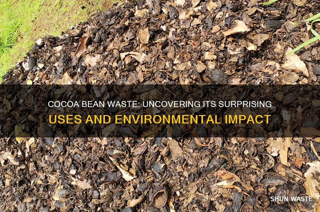 Cocoa Bean Waste: Uncovering Its Surprising Uses And Environmental ...