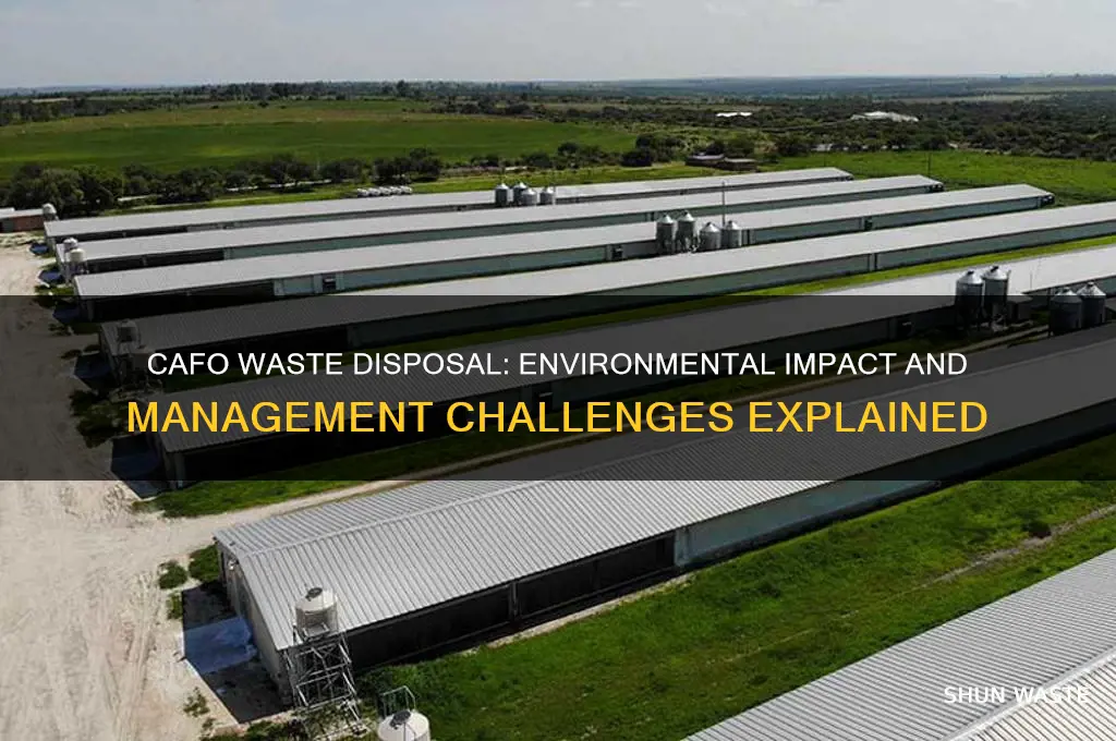 Cafo Waste Disposal: Environmental Impact And Management Challenges ...