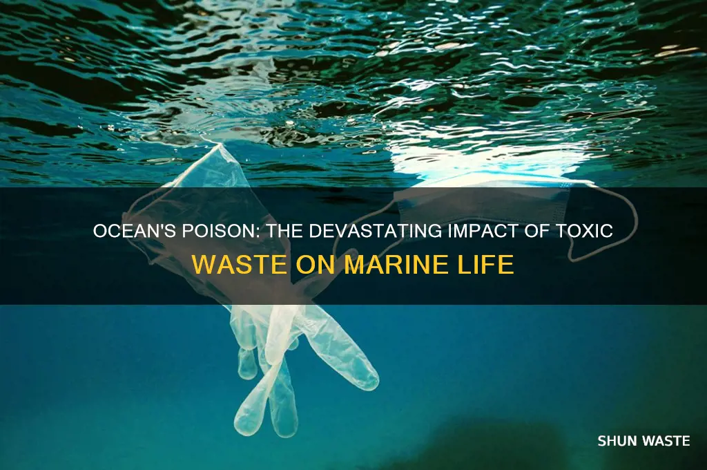 Ocean's Poison: The Devastating Impact Of Toxic Waste On Marine Life ...