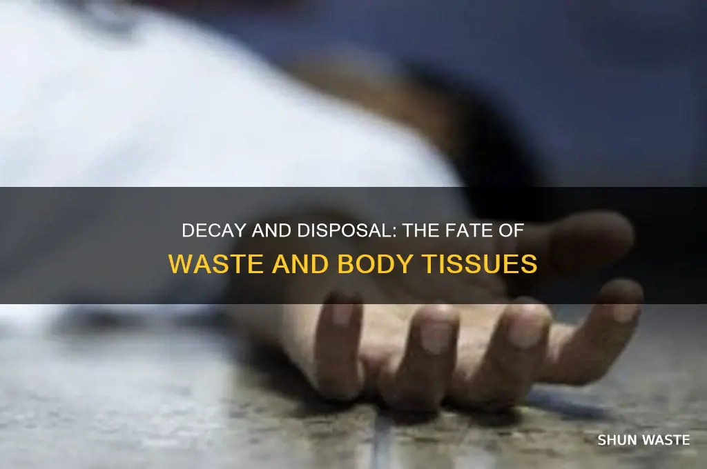 Decay And Disposal: The Fate Of Waste And Body Tissues | ShunWaste