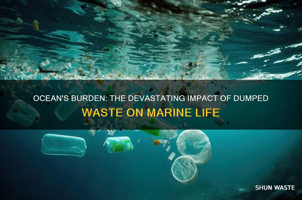 Ocean's Burden: The Devastating Impact Of Dumped Waste On Marine Life ...