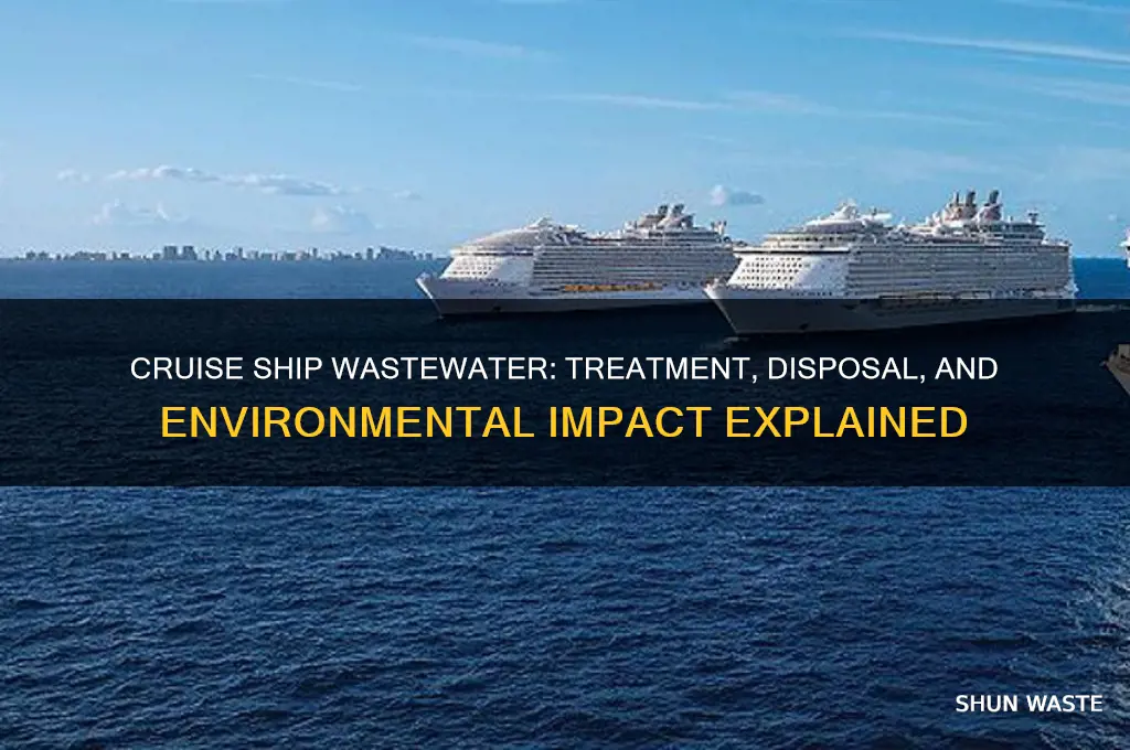 Cruise Ship Wastewater: Treatment, Disposal, And Environmental Impact ...