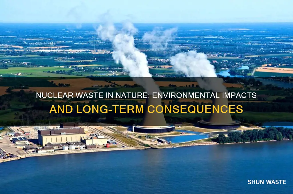 Nuclear Waste In Nature: Environmental Impacts And Long-Term ...