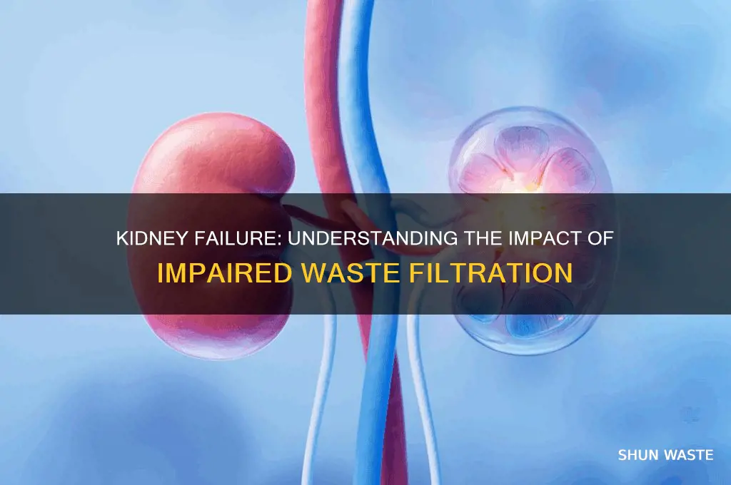 Kidney Failure: Understanding The Impact Of Impaired Waste Filtration ...