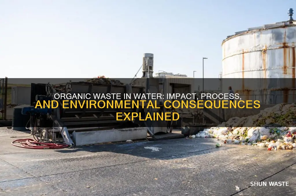 Organic Waste In Water: Impact, Process, And Environmental Consequences ...