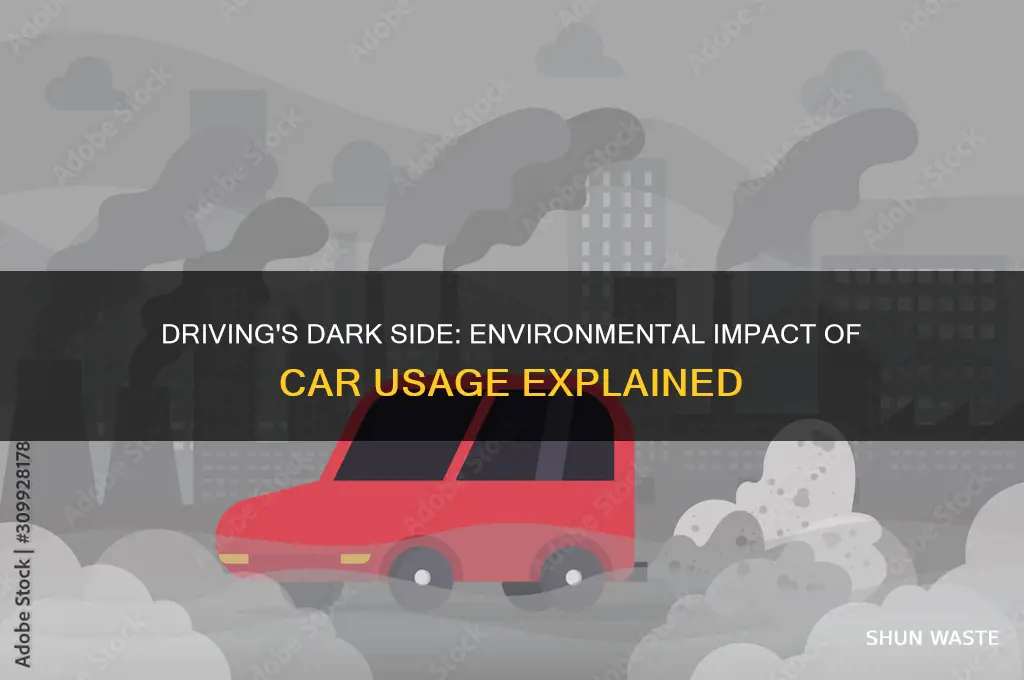 Driving's Dark Side: Environmental Impact Of Car Usage Explained ...