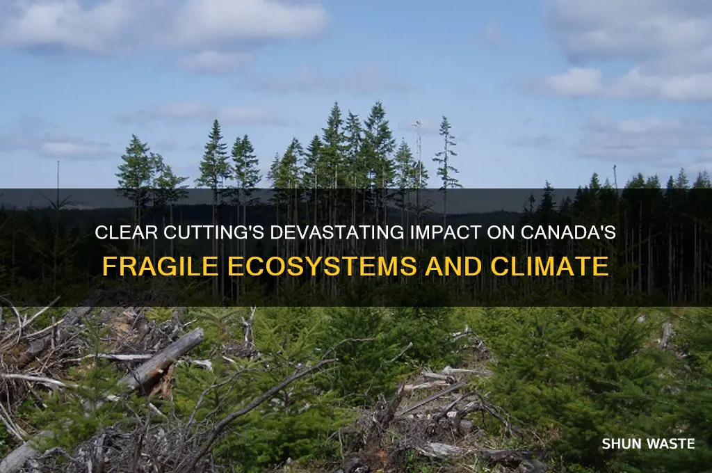 Clear Cutting's Devastating Impact On Canada's Fragile Ecosystems And ...