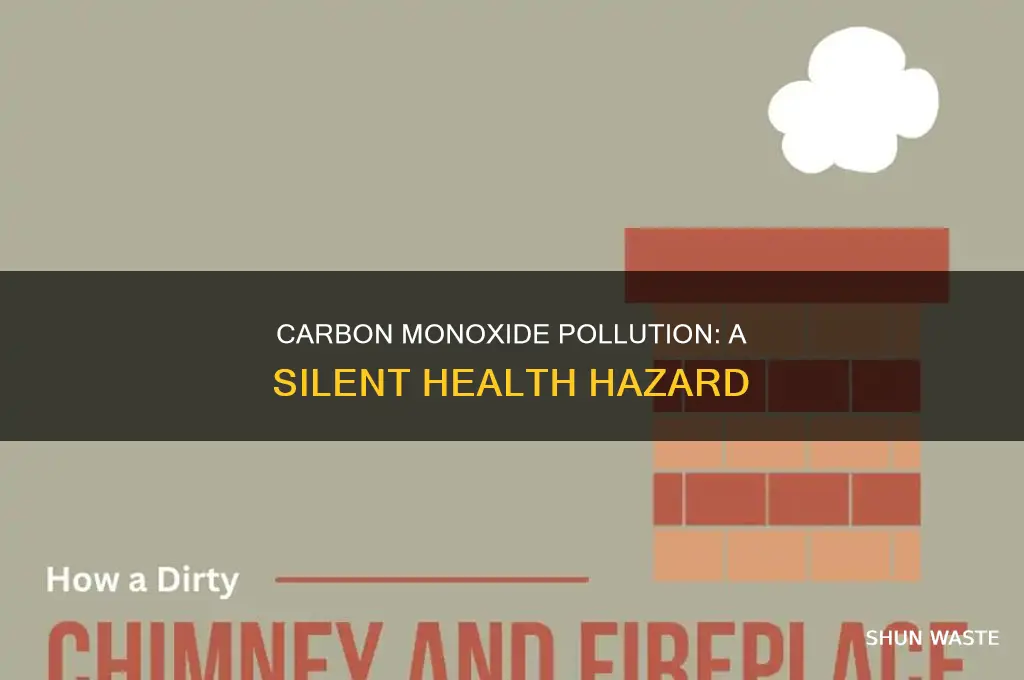 Carbon Monoxide Pollution: A Silent Health Hazard | ShunWaste