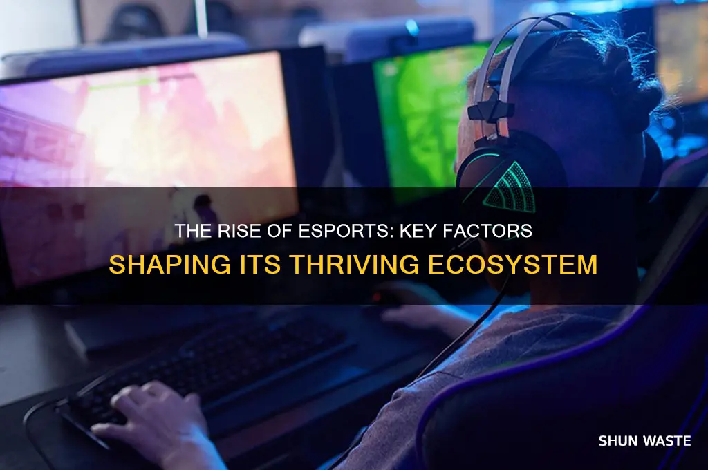 The Rise Of Esports: Key Factors Shaping Its Thriving Ecosystem | ShunWaste