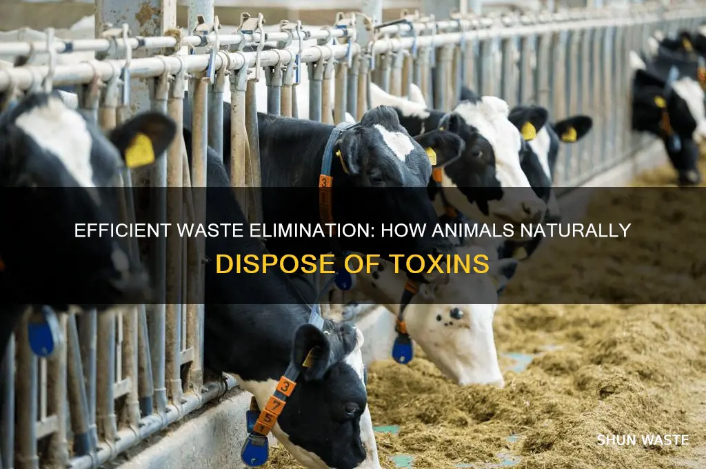 Efficient Waste Elimination: How Animals Naturally Dispose Of Toxins ...