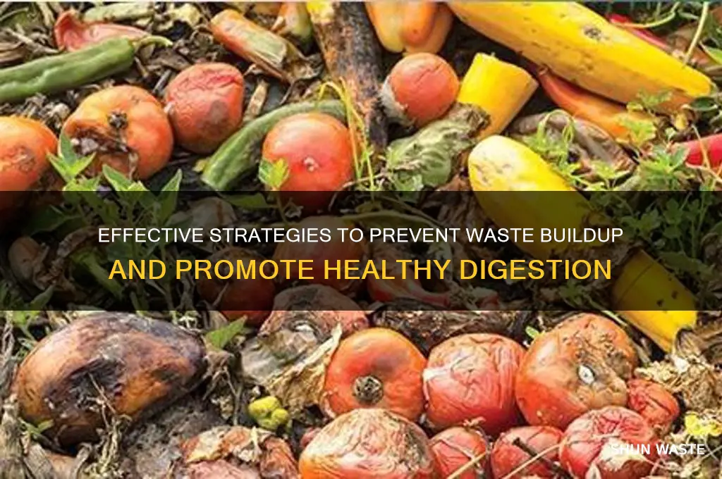 Effective Strategies To Prevent Waste Buildup And Promote Healthy ...