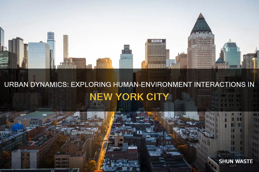 Urban Dynamics: Exploring Human-Environment Interactions In New York ...
