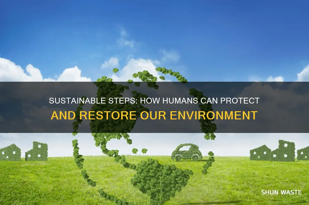 Sustainable Steps: How Humans Can Protect And Restore Our Environment ...