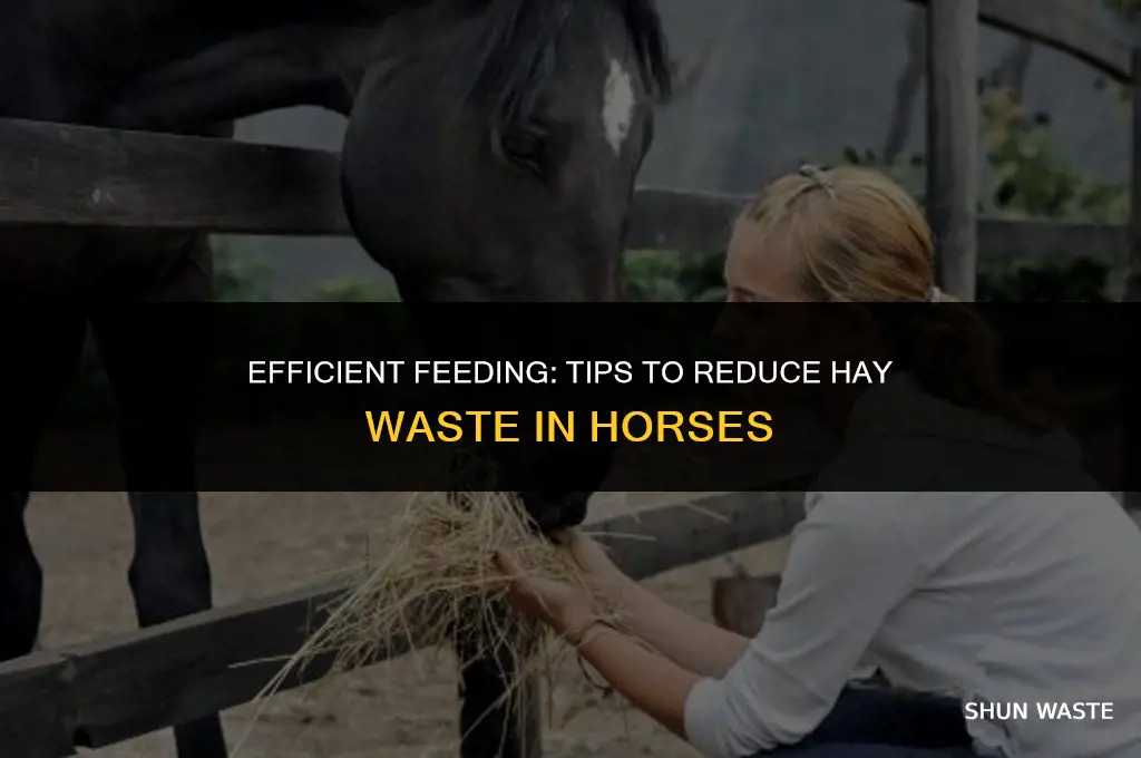 Efficient Feeding: Tips To Reduce Hay Waste In Horses | ShunWaste