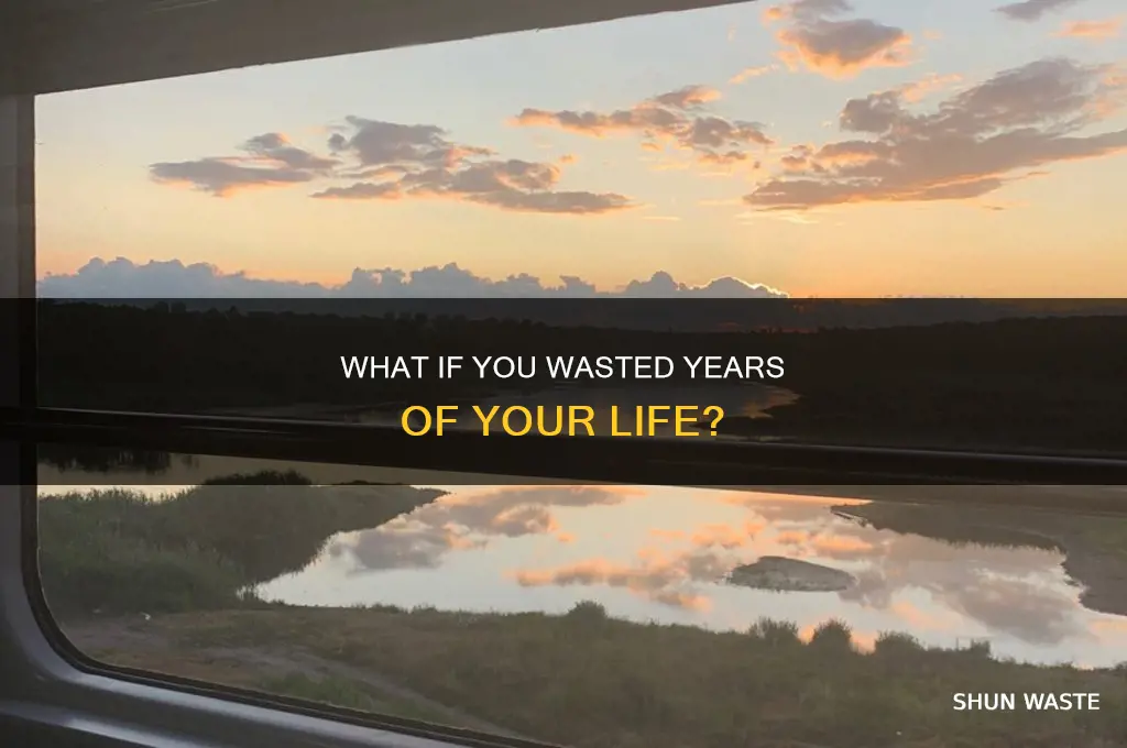 What If You Wasted Years Of Your Life? | ShunWaste