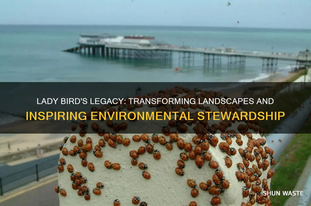 Lady Bird's Legacy: Transforming Landscapes And Inspiring Environmental ...